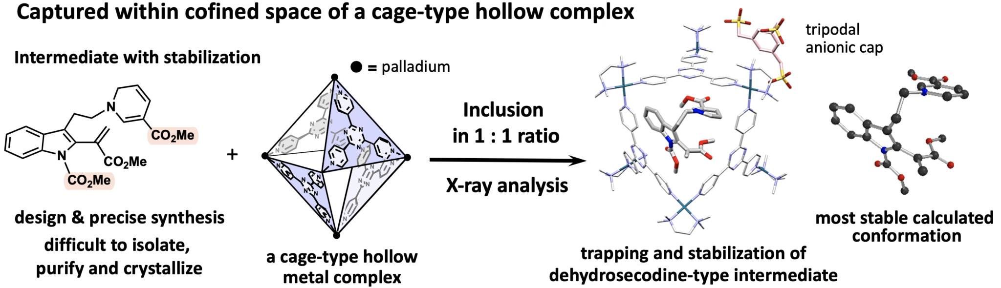 東京大学 大学院理学系研究科 化学専攻 天然物化学研究室